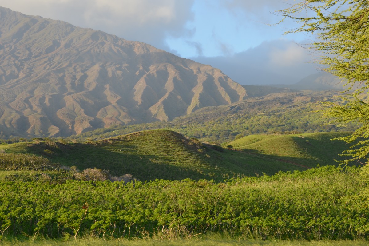Grass Valley Maui Hawaii | Moonstone Photography