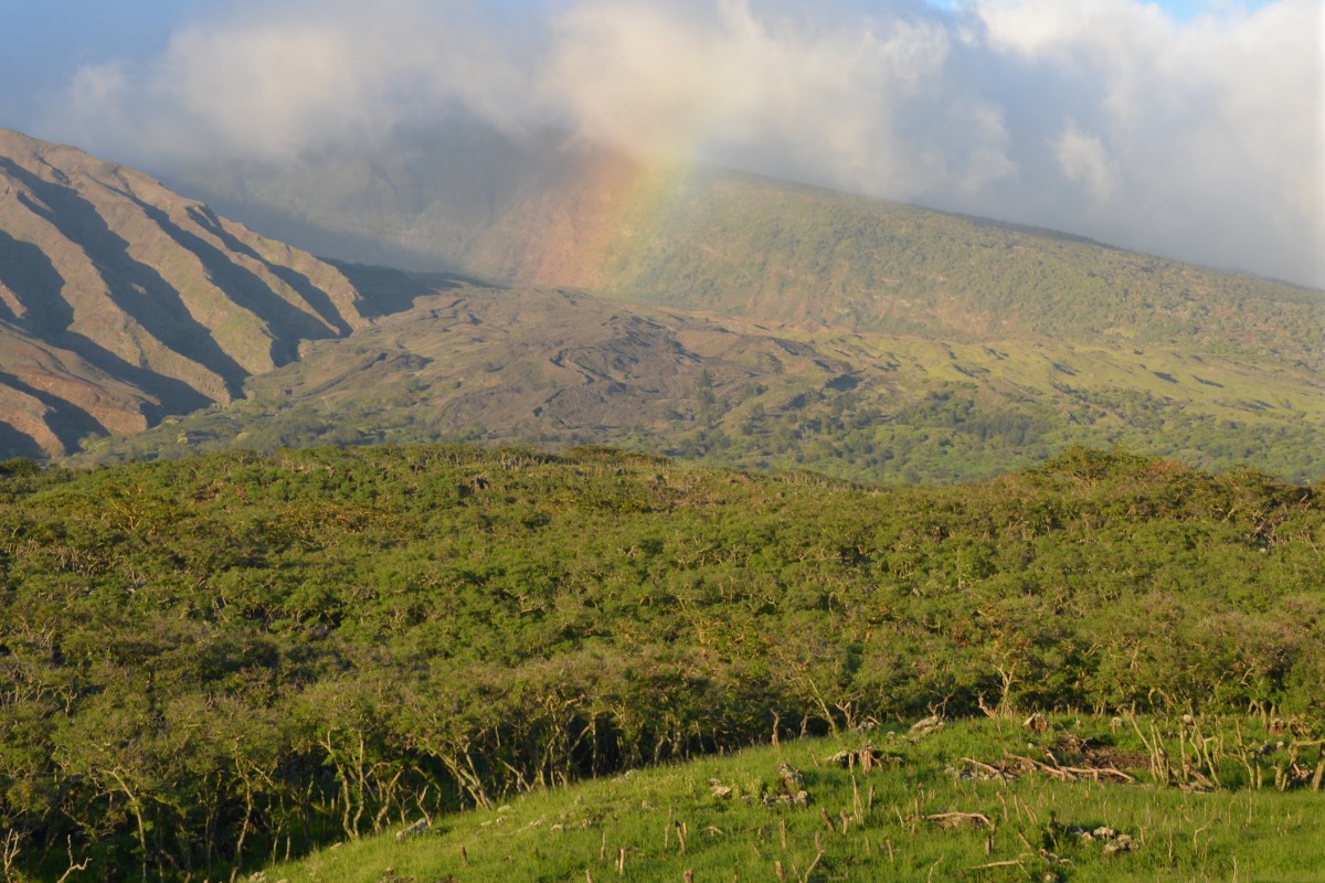 Rainbow in Distance | Moonstone Photography